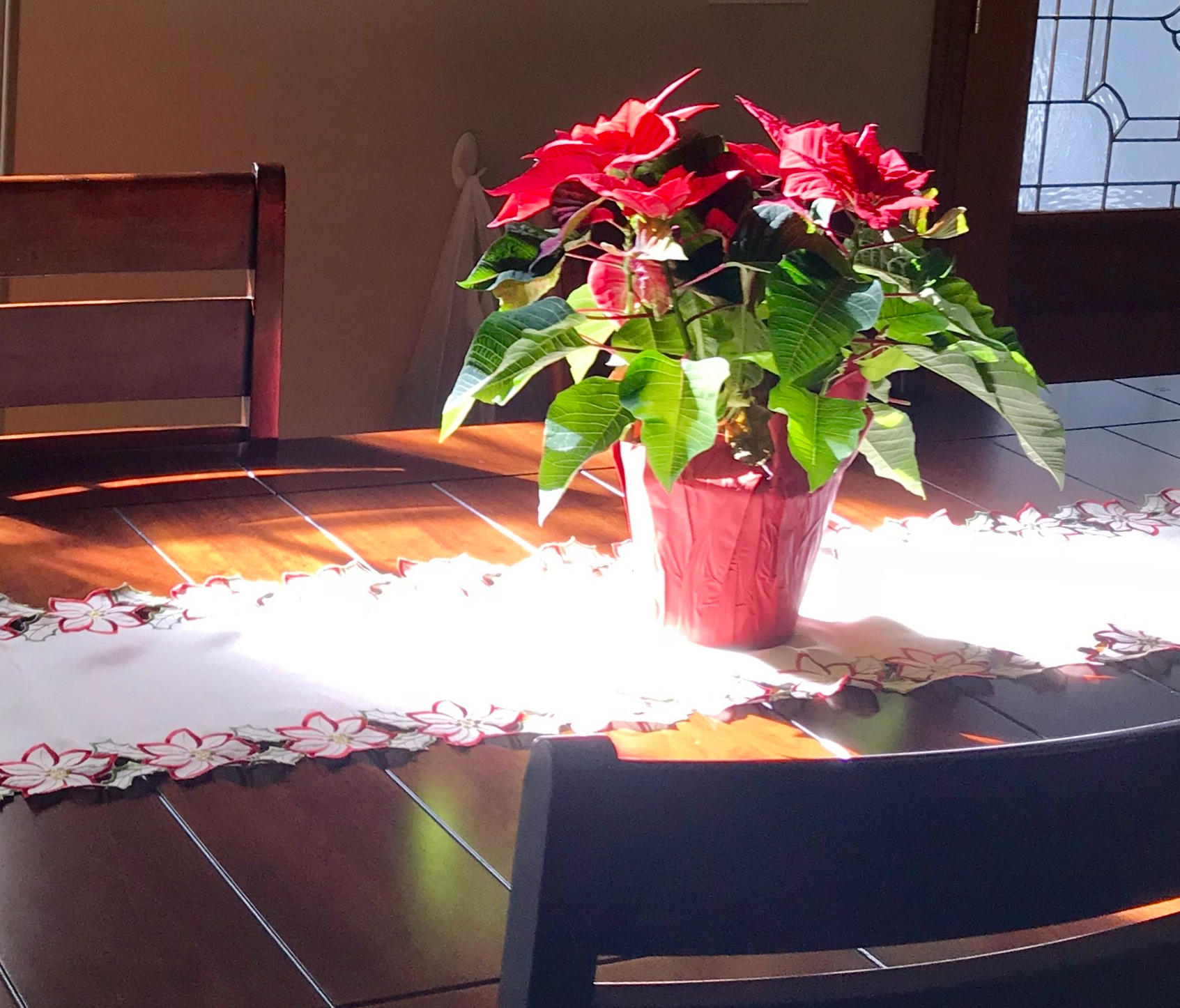 22 Days of Non- Stop Decluttering – The Octopus Mama